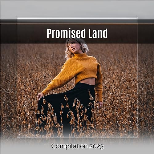 Amazon.com: Promised Land : VARIOUS ARTISTS: Digital Music