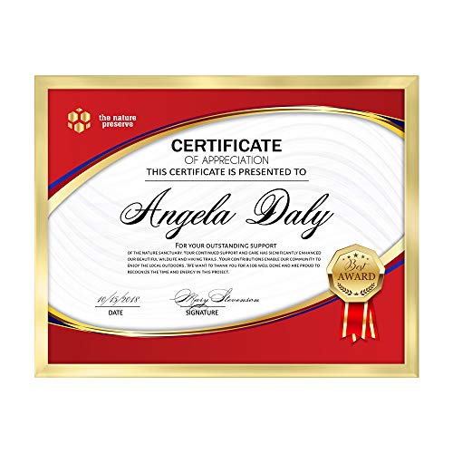 Icona Bay A4 Gold Picture Frame, Modern Professional Frame (29.7 x 21 ...