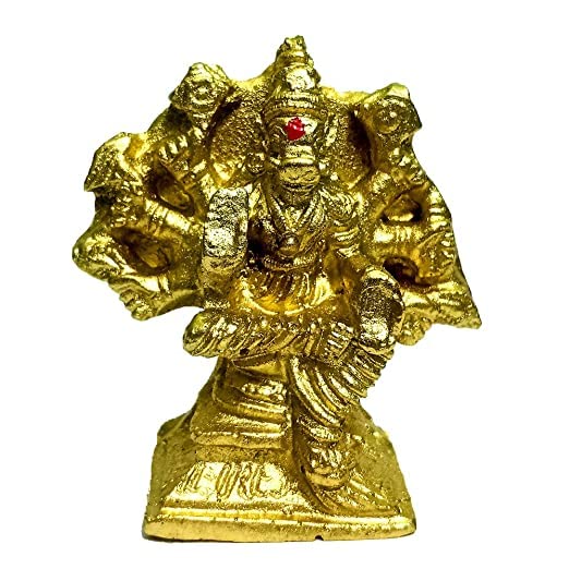 Buy Leo Traders Varaha Avatar Varahi Amman Idol (Synthetic Resin ...