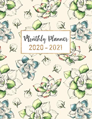 Amazon.com: monthly planner 2020-2021: 2 year planner 2020-2021 monthly ...