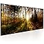Amazon.de: decomonkey Bilder Wald 150x50 cm XXL 1 Teilig Leinwandbilder Bild auf Leinwand Vlies ...