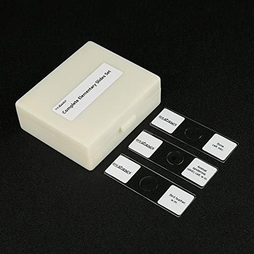 0.1mm Cross Coordinate Type Ocular Micrometer Calibration Slide for ...