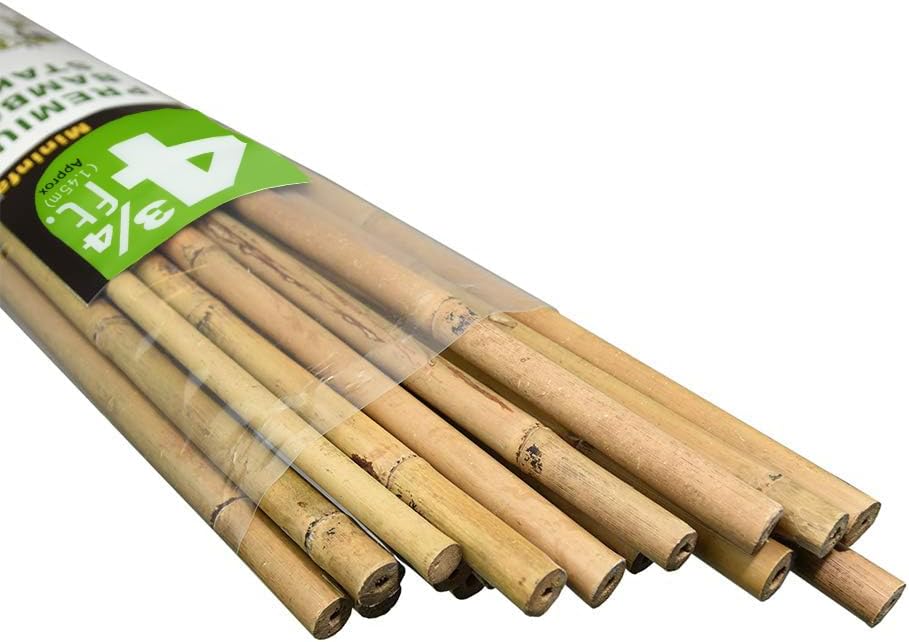 Amazon.com : Mininfa Natural Bamboo Stakes 57 Inch (Approx 5 FEET), Eco ...