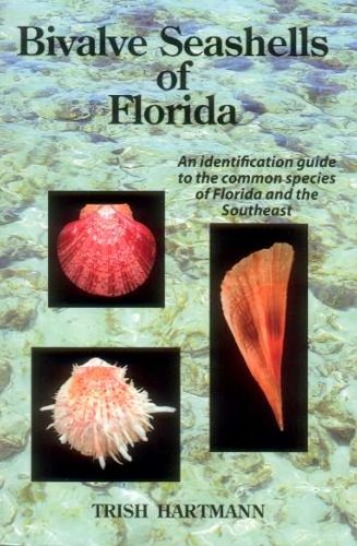 57 Best Seashell Books of All Time - BookAuthority