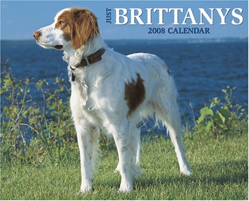Just Brittanys 2008 Calendar: Willow Creek Press: 9781595434746: Amazon ...