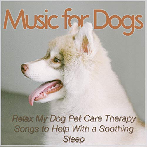 Amazon.com: Music for Dogs: Relax My Dog Pet Care Therapy Songs to Help ...