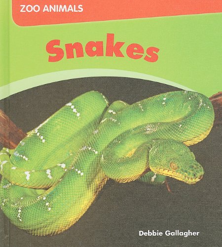 Snakes (Zoo Animals) | Amazon.com.br