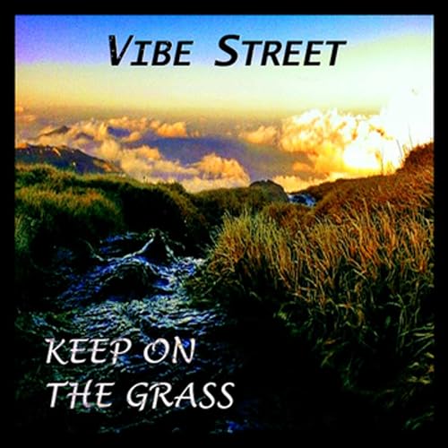 Amazon.com: Keep on the Grass EP : Vibe Street: Digital Music