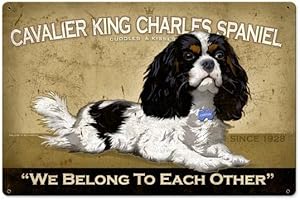 Amazon.com: Retro Metal Tin Sign Cavalier King Charles Spaniel Sign for ...