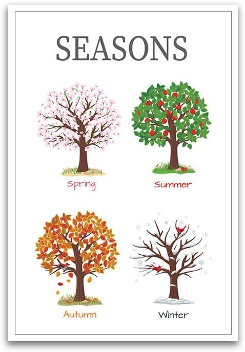 Amazon.com: FHJP215 - Seasons Educational Poster - 12 x 18 Inch Premium ...