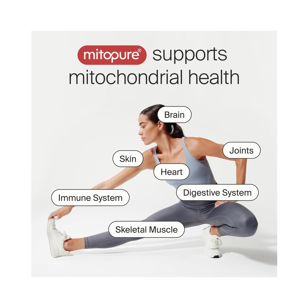 Timeline Mitopure Urolithin A - First Clinically Australia | Ubuy