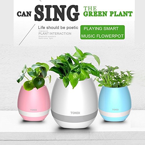 TRASS Smart Flower Pot With Bluetooth Speaker And LED,Pink : Amazon.in ...