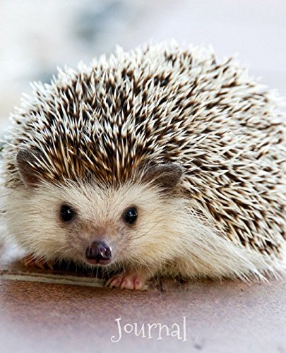 Journal: Hedgehog: Publications, Dreamflight: 9781973262749: Amazon.com ...