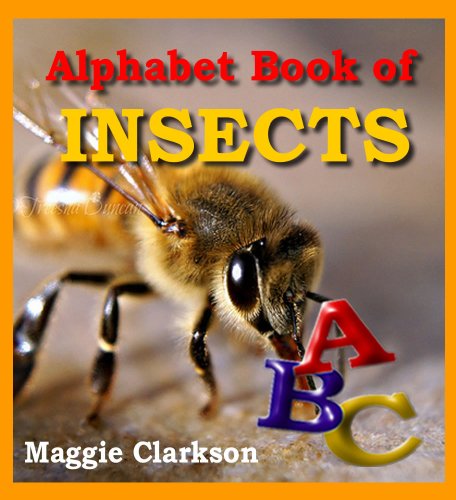 Alphabet Book Of Insects: Kids Books About Bugs – Insect Pictures ...