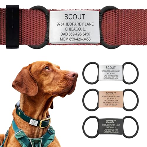Top 10 Dog Tags for Stylish and Durable Pet Identification - Dog Stairs ...