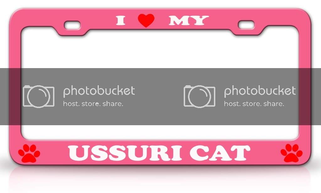 Ussuri Cat