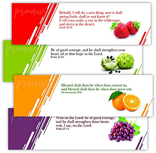 Bible Promise Cards - 2 sets of 50 cards : Amazon.in: Office Products