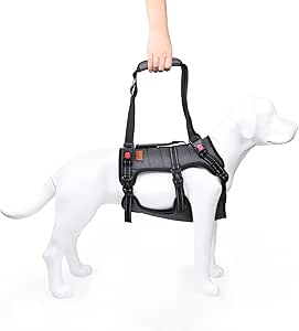 Dog Lifting Harness, Lift Support Harness - Front Legs Lifting Aid with ...