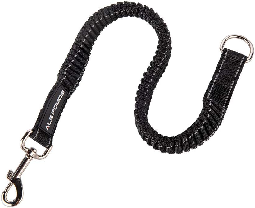 Amazon.com : Bungee Dog Leash Extension Attachment,Shock Absorbing ...