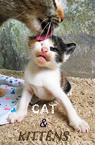 Photo book CAT & KITTEN : Cat books for Kids , Amazing Kittens and Cats ...