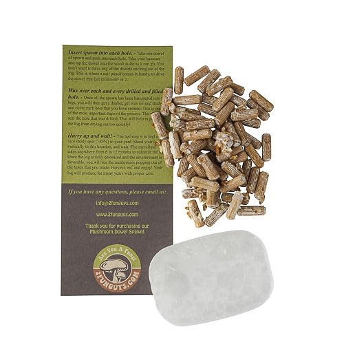 Amazon.com: Oyster Plug Spawn Starter Kit - Grown Your Own Log Grown ...