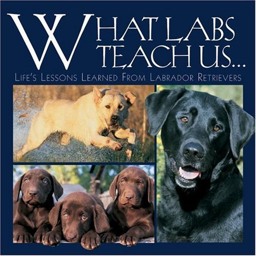 What Labs Teach Us: Life's Lessons Learned from Labrador Retrievers ...