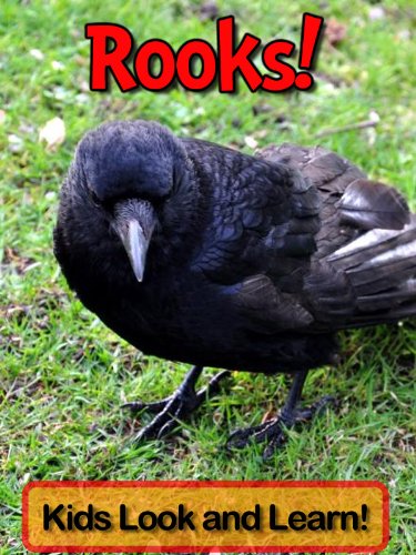Rooks! Learn About Rooks and Enjoy Colorful Pictures - Look and Learn ...