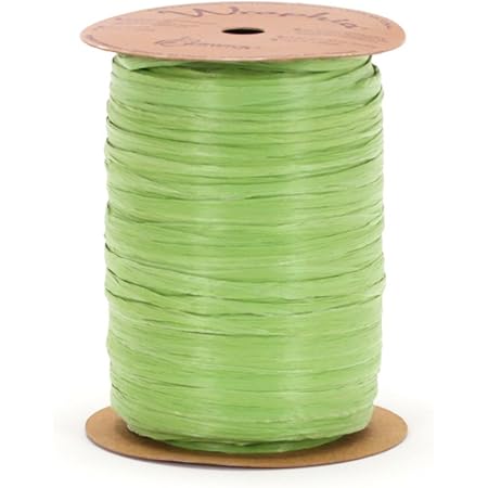 Amazon.com: Berwick Offray 1/4'' Wide Matte Raffia Ribbon, Jungle Green ...