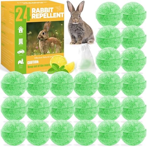 Amazon.com: Deer Rabbit Repellent Outdoor 24 Pack - Natural Peppermint ...