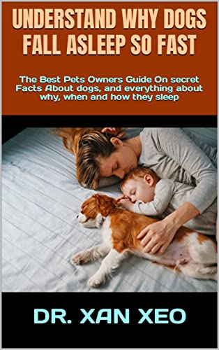 How Can Dogs Fall Asleep So Fast