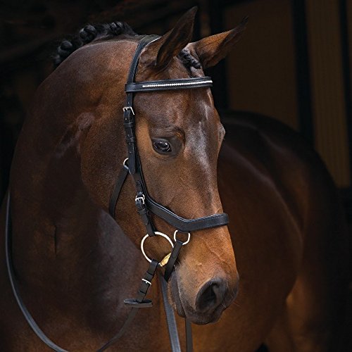 Micklem Multi Bridle – Die 16 besten Produkte im Vergleich