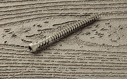 Starborn Cap-Tor xd No. 10 x 2-3/4 in. L Star Undercut Head Epoxy ...