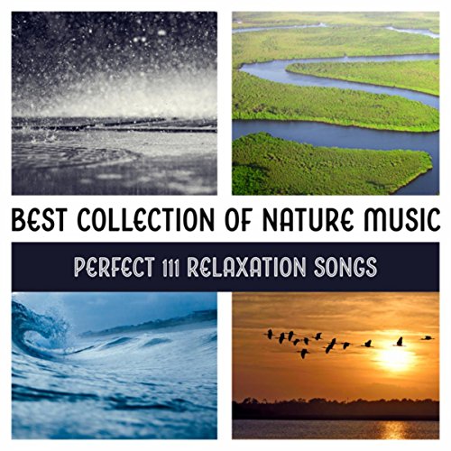 Best Collection of Nature Music (Perfect 111 Relaxation Songs – Birds ...