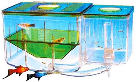 Saim Plastic Fish Isolation Box Multi- functional Breeding Incubator ...