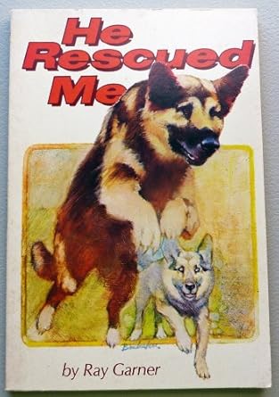 He Rescued Me : Garner, Raymond: Amazon.in: Books