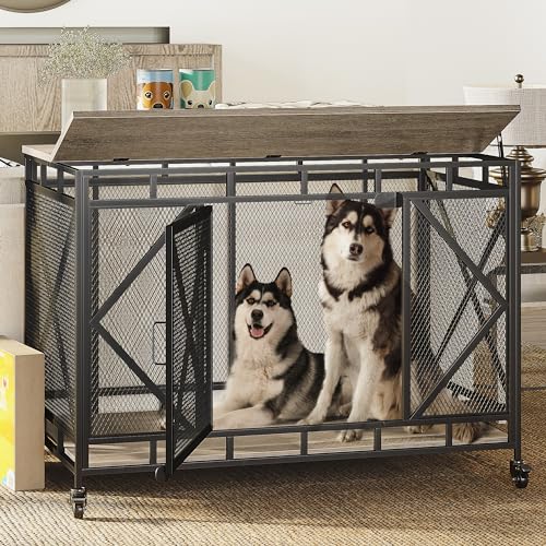 10 Best Soundproof Dog Crate