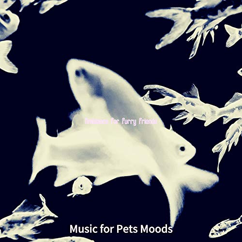 Amazon.com: Ambiance for Furry Friends : Music for Pets Moods: Digital ...
