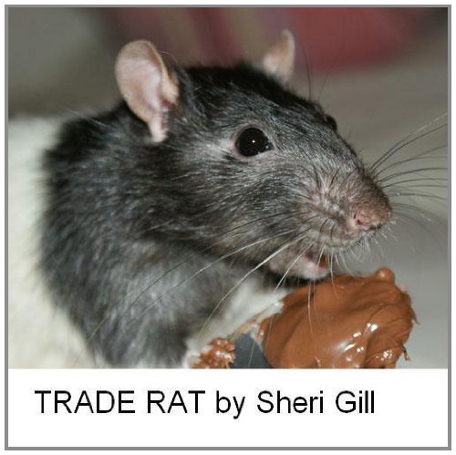 Amazon.com: Trade Rat! (Wonderful Read-Aloud Chapter Books For All Ages ...