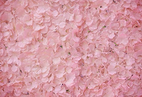 Rose Petal Backdrop