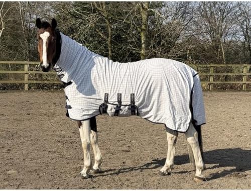 Asker Sweet-Itch Combo Fly Rug - White | Belly Flap | Lightweight 5ft0 ...