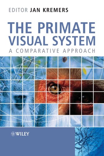 The Primate Visual System: A Comparative Approach - Kindle edition by ...