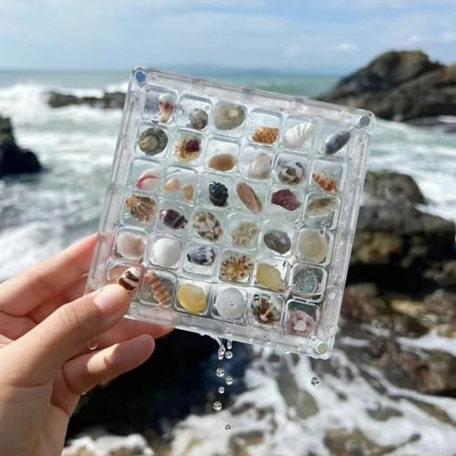 Amazon.com - PUOTWN Acrylic Magnetic Seashell Display Box, Clear ...
