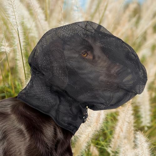 Foxtail Dogs – The 15 best products compared - Wild Explained