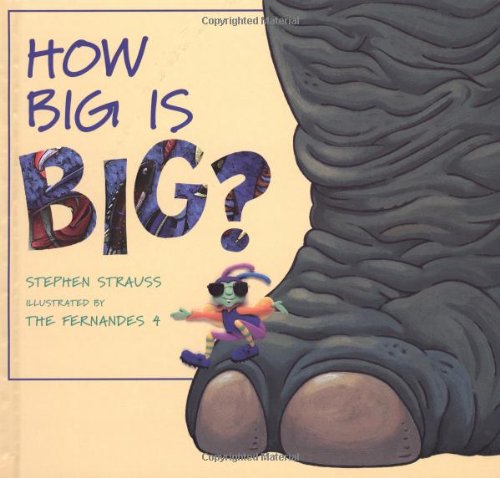 How Big Is Big?: Strauss, Stephen, Fernandez Corte: 9780761316640 ...