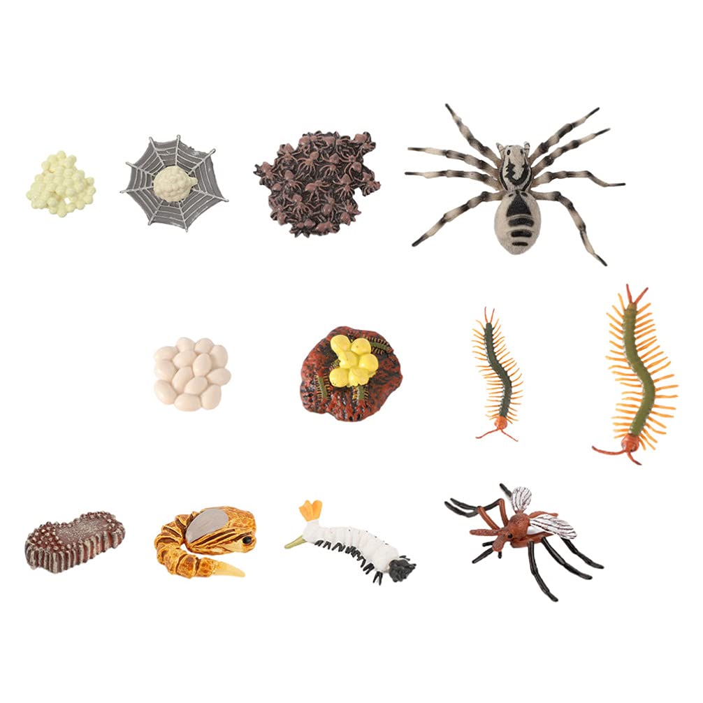 Toymytoy 3 Sets Insects Figurines Life Cycle Of Mosquito Tarantula ...
