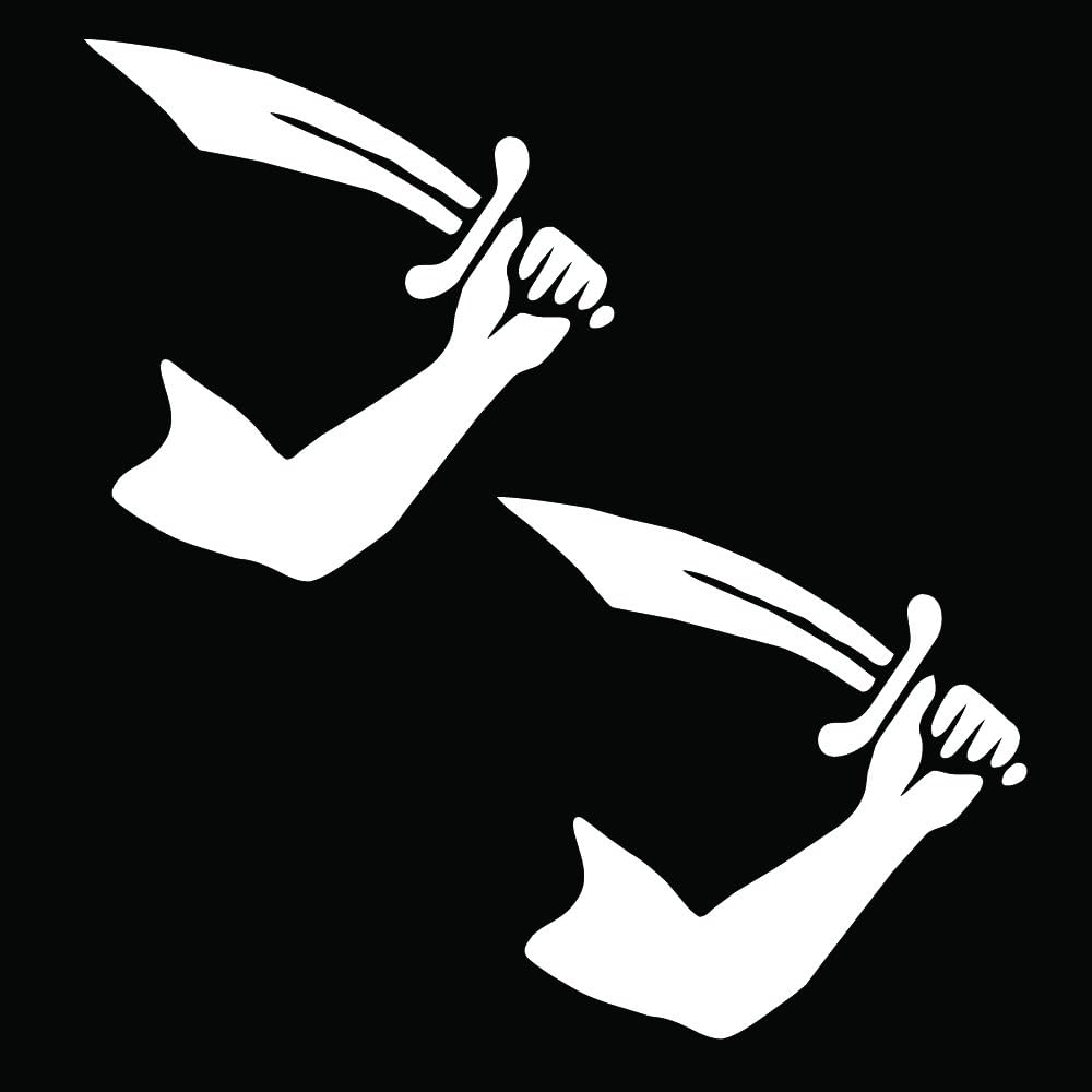 Amazon.com: Auto Vynamics - PPFS-JR10-6-GWHI - Gloss White Vinyl Jolly ...