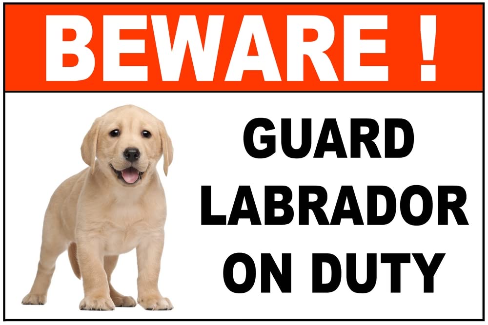 VAAIMAI Beware of Dog Sign Board | Guard Labrador On Duty Vinyl Sticker ...