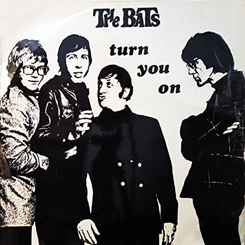 Amazon.com: Turn You On : The Bats: Digital Music