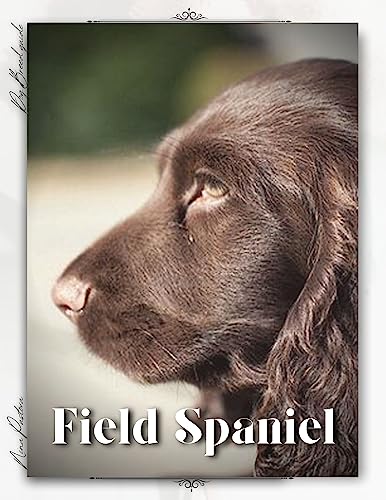 Field Spaniel: Dog breed overview and guide - Kindle edition by Pustova ...
