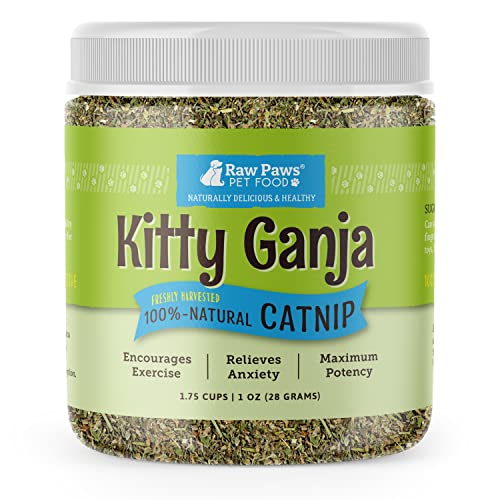 10 Best Catnip For Cats
